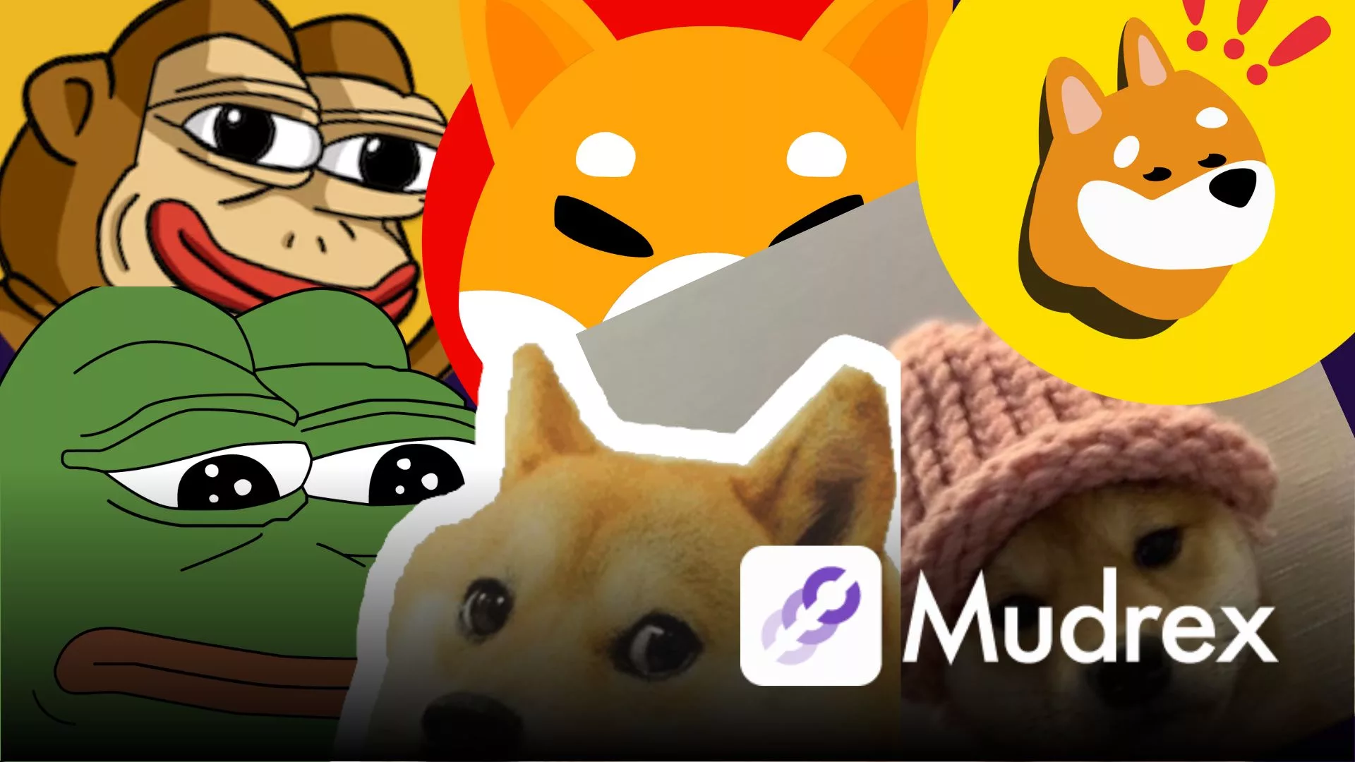 The 2024 Memecoin Renaissance: Decoding the Hype - Mudrex Learn