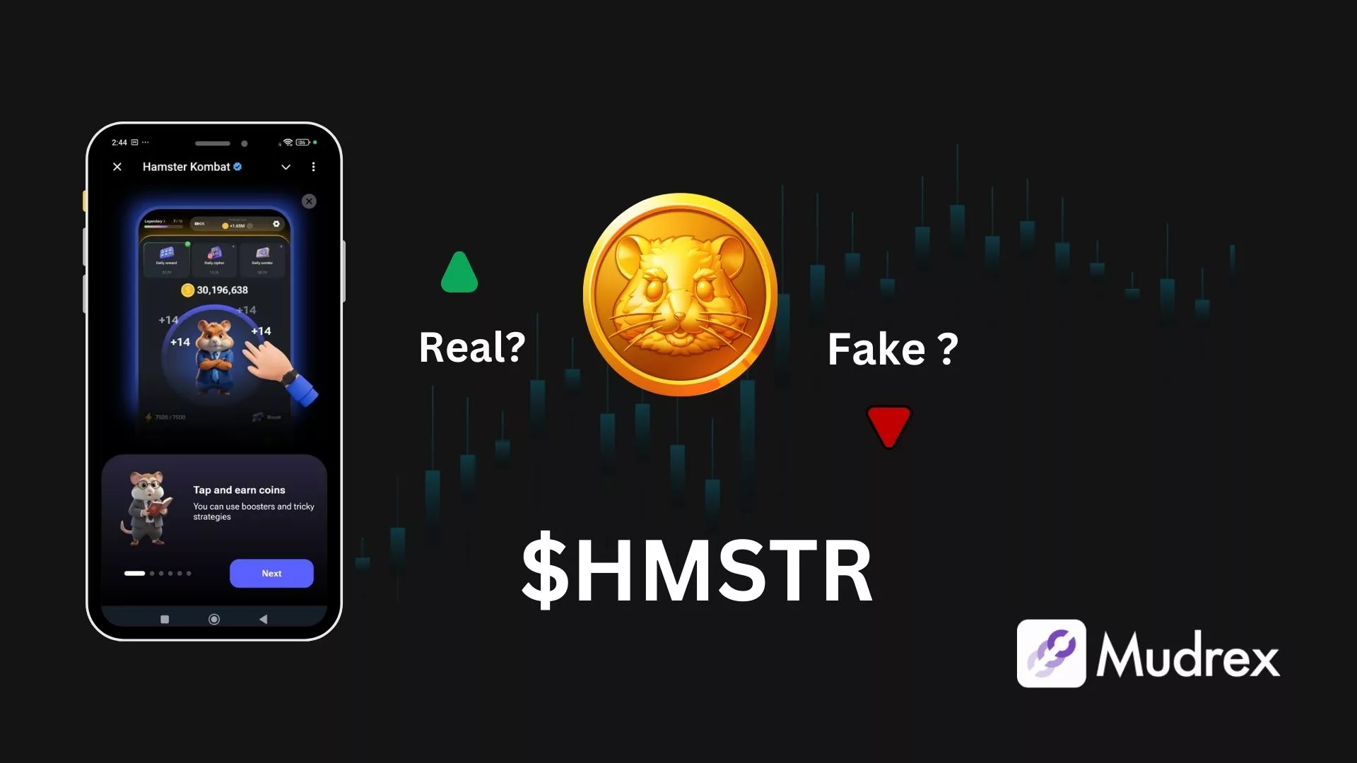 Is Hamster Kombat Fake or Legit? Thoughts on Hamster Kombat - Mudrex Learn