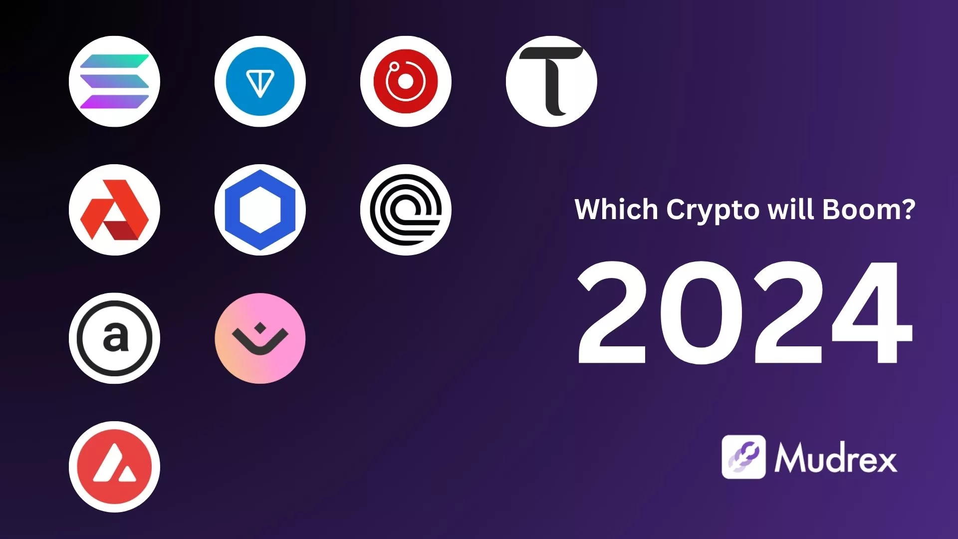 Which Crypto Will Boom in 2024? - Mudrex Learn