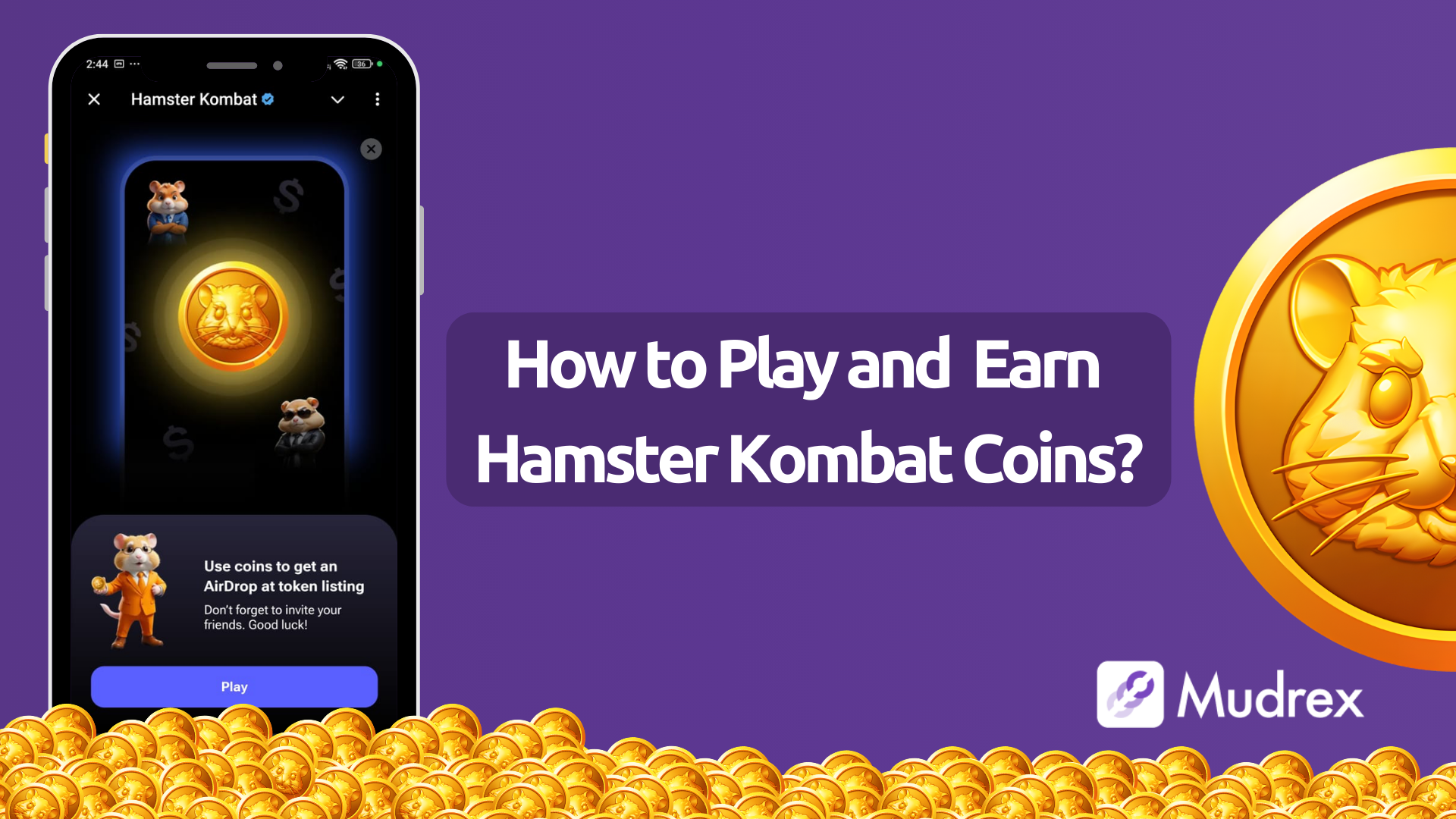 How to Play & Earn Hamster Kombat Coins? - Mudrex Learn
