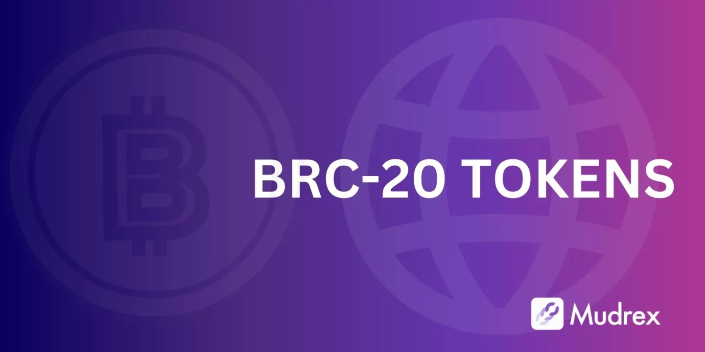 Best BRC-20 Tokens To Invest In Today (September 2024) | Mudrex Learn