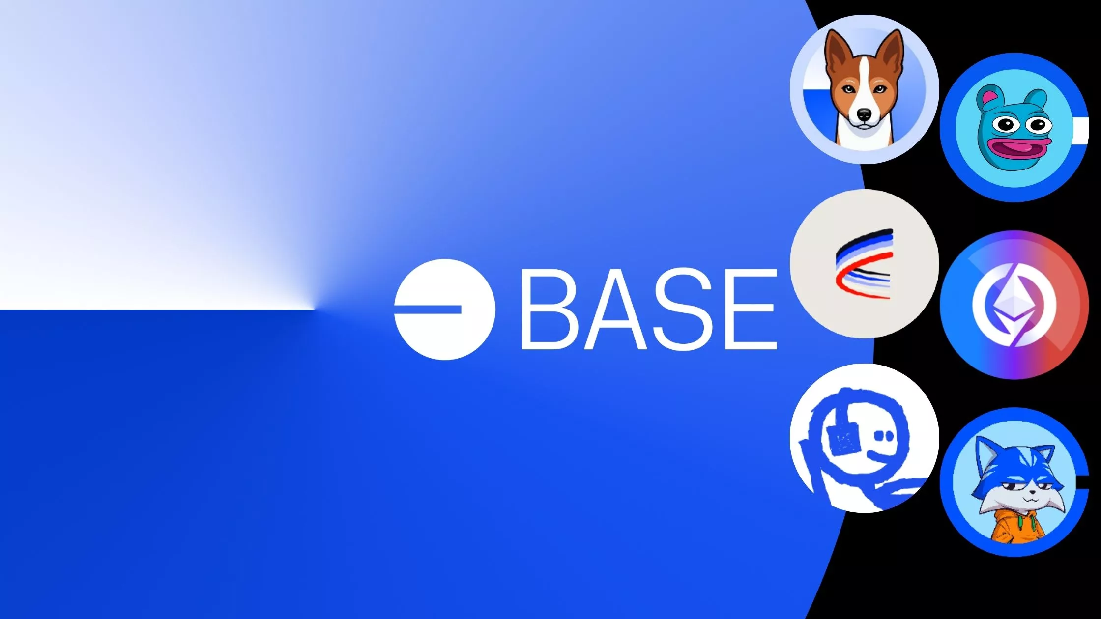 Top 10 Base Ecosystem Coins - Mudrex Learn