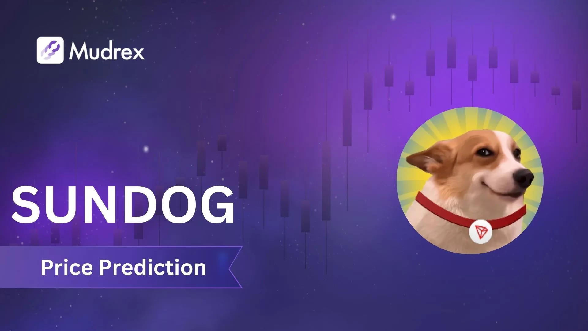 SUNDOG Price Prediction & Forecast For 2024 To 2030 | Mudrex Learn